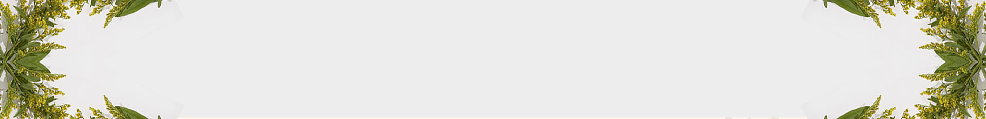 Xoxo Jewelry – ALEX AND ANI