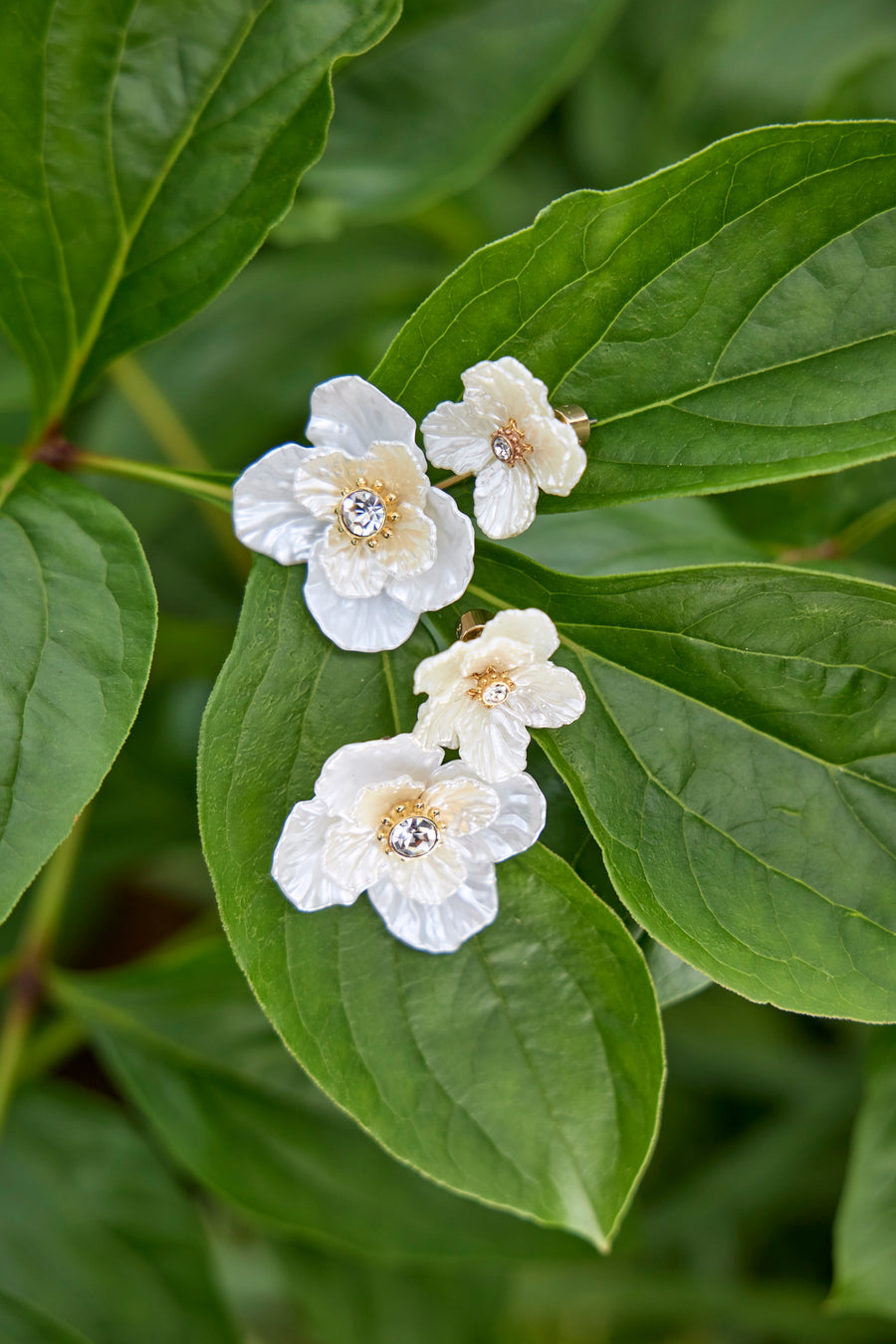 Calavera Meaning + History – ALEX AND ANI