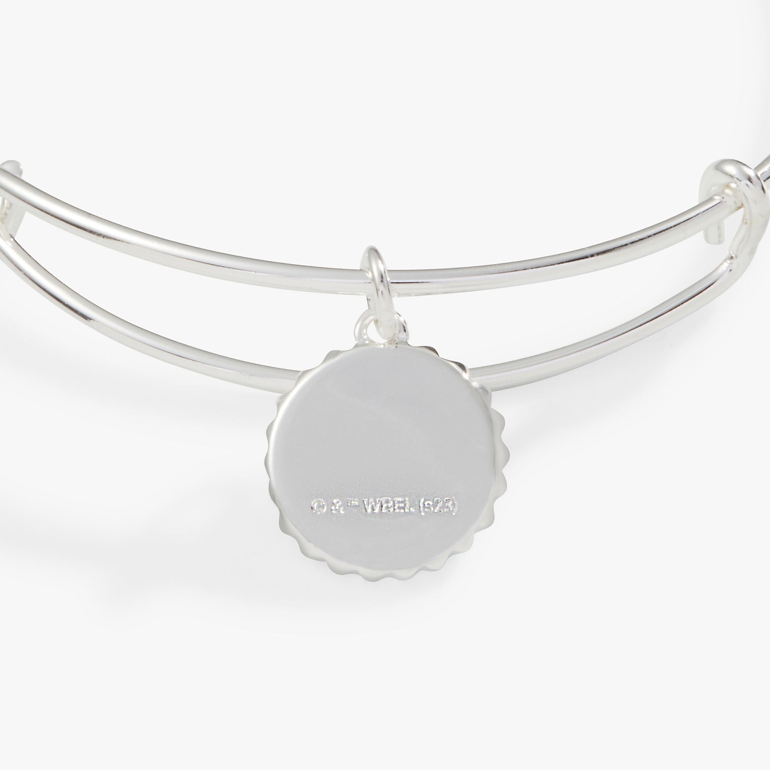 Harry Potter™ Ravenclaw House Charm Bangle – ALEX AND ANI