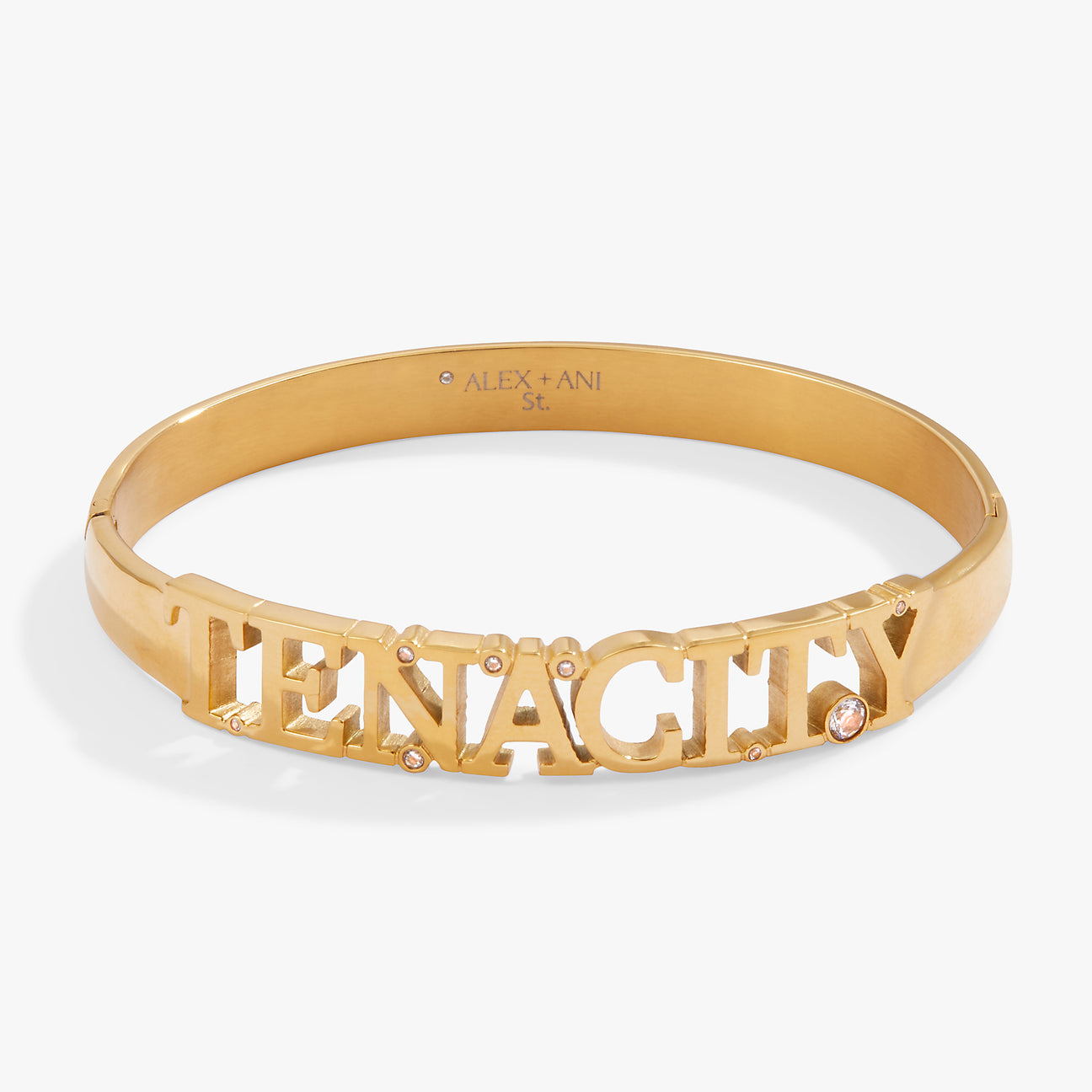 Tenacity Hinge Bracelet – ALEX AND ANI