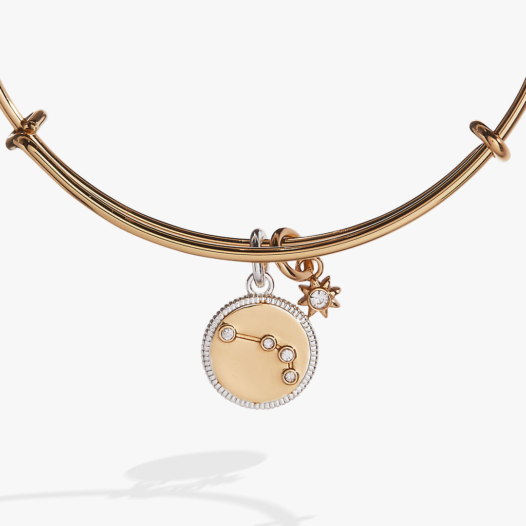 Aries Zodiac Charm Bangle | Alex and Ani – ALEX AND ANI