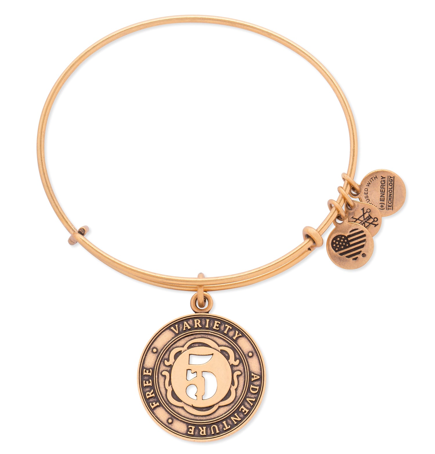 Women's Numeric Symbol Bangle – ALEX AND ANI