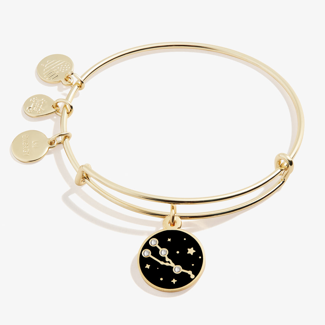 Taurus Zodiac Charm Bangle, Color - Alex and Ani – ALEX AND ANI