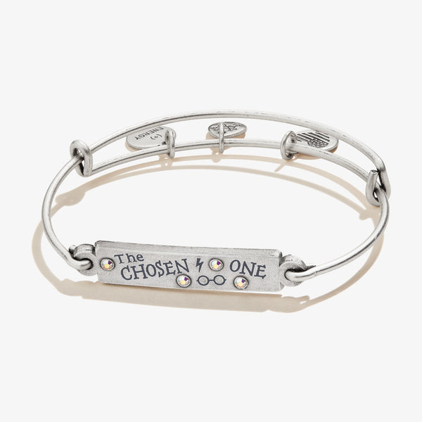 Alex and Ani Harry Potter The Chosen One Inline Charm Bangle