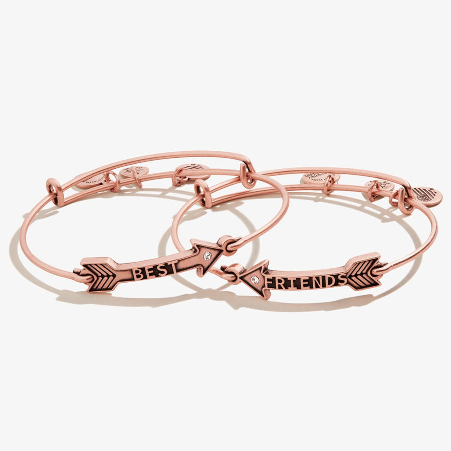 Best Friends Arrow Charm Bangles, Set of 2 - Alex and Ani – ALEX AND ANI