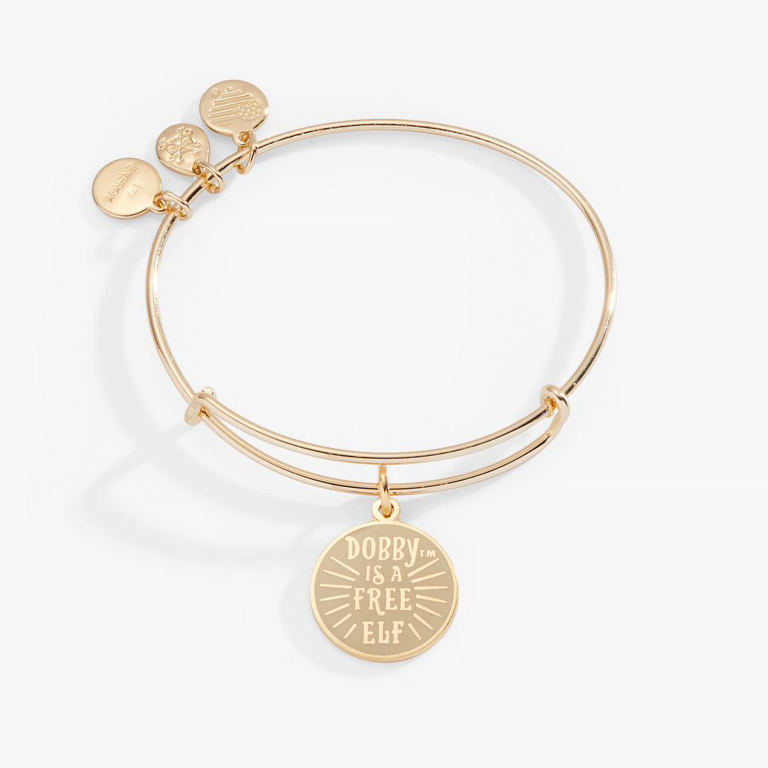 Harry Potter™ 'Dobby is a Free Elf' Charm Bangle Bracelet | Alex and ...